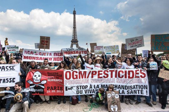 Marche contre Monsanto - 23 mai, à Nice - Collectif Animalier du 06 Marche contre Monsanto - 23 mai, à Nice - Collectif Animalier du 06
